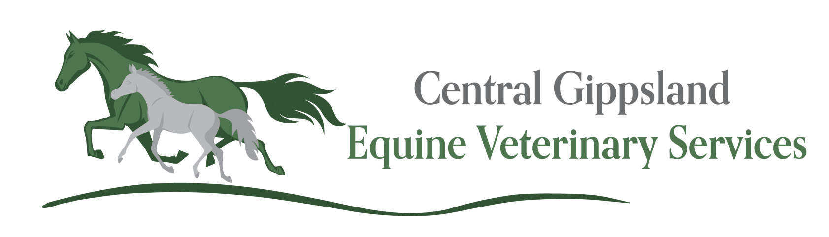 Blog: WHat is arthramid injection for horses joints? – Central ...